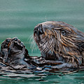 Lisa Clough Lachri - Official Website