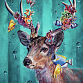 Lisa Clough Lachri - Official Website